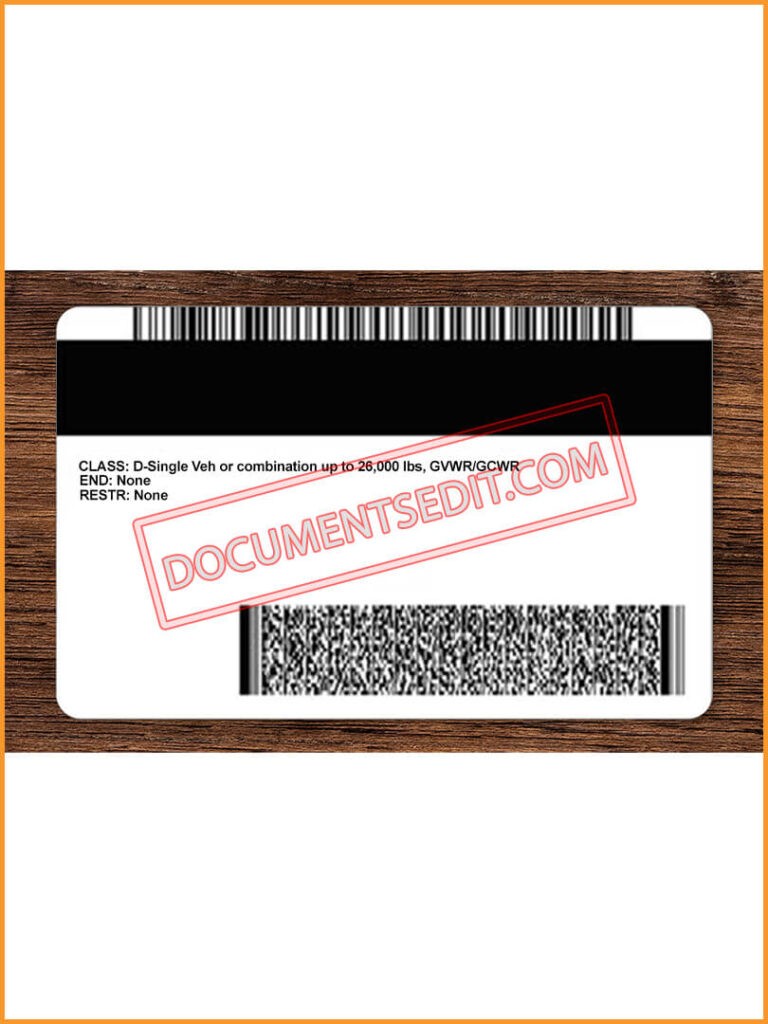 Minnesota State Driver's License - Documents Edit