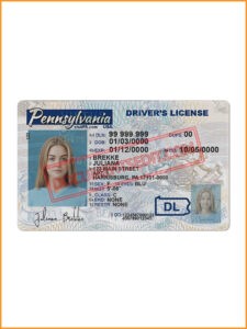 Pennsylvania Driver License PSD Template - Documents Edit