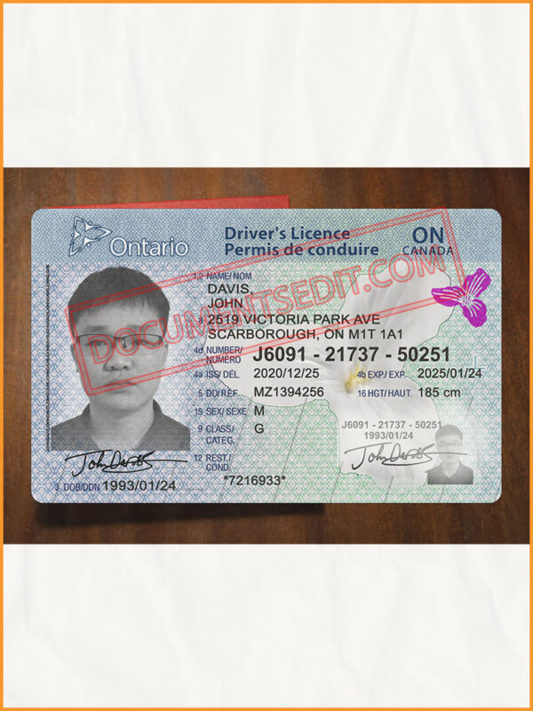 New Ontario Driver License PSD Template - Documents Edit