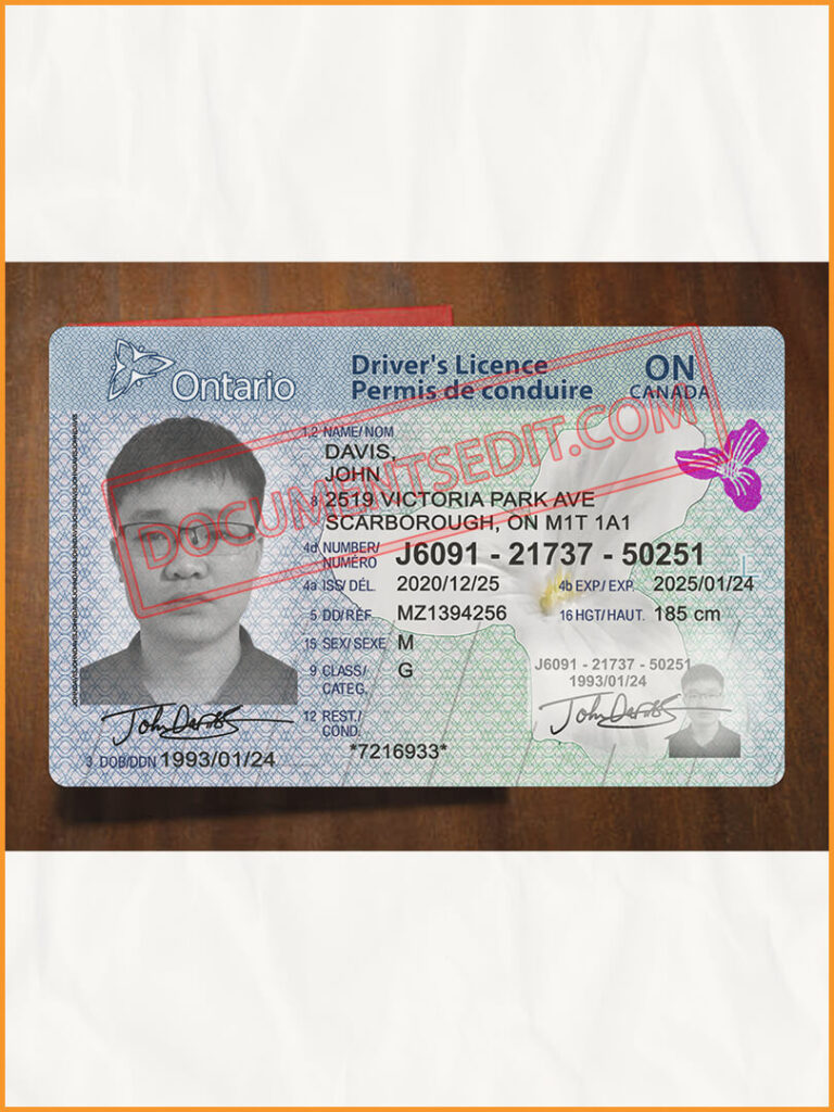 New Ontario Driver License PSD Template - Documents Edit
